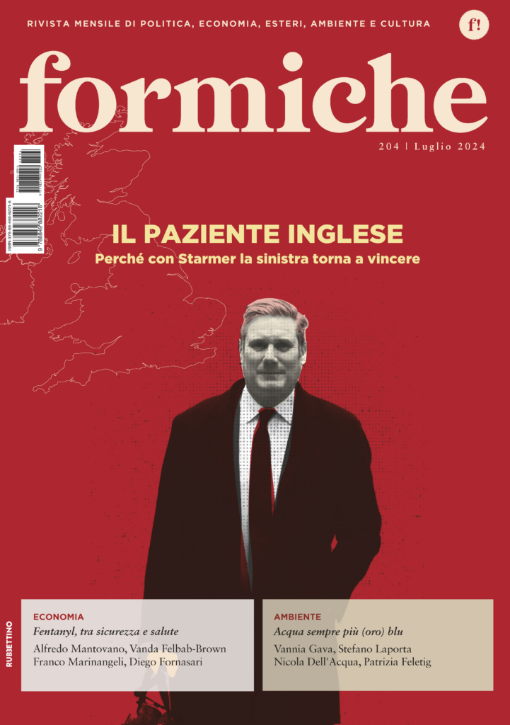 Formiche - Rubbettino editore